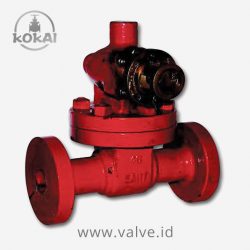 Cast Steel Parallel Slide Blowdown Valve | PT. Kokai Indo Abadi